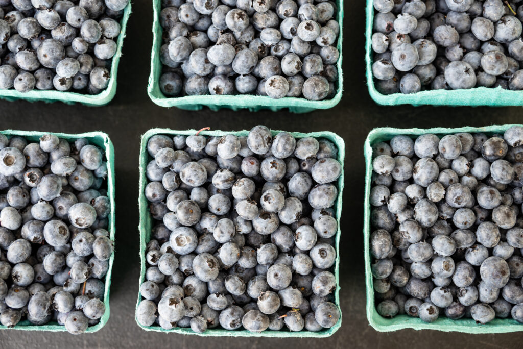 Home | Ever Fresh Fruit Company