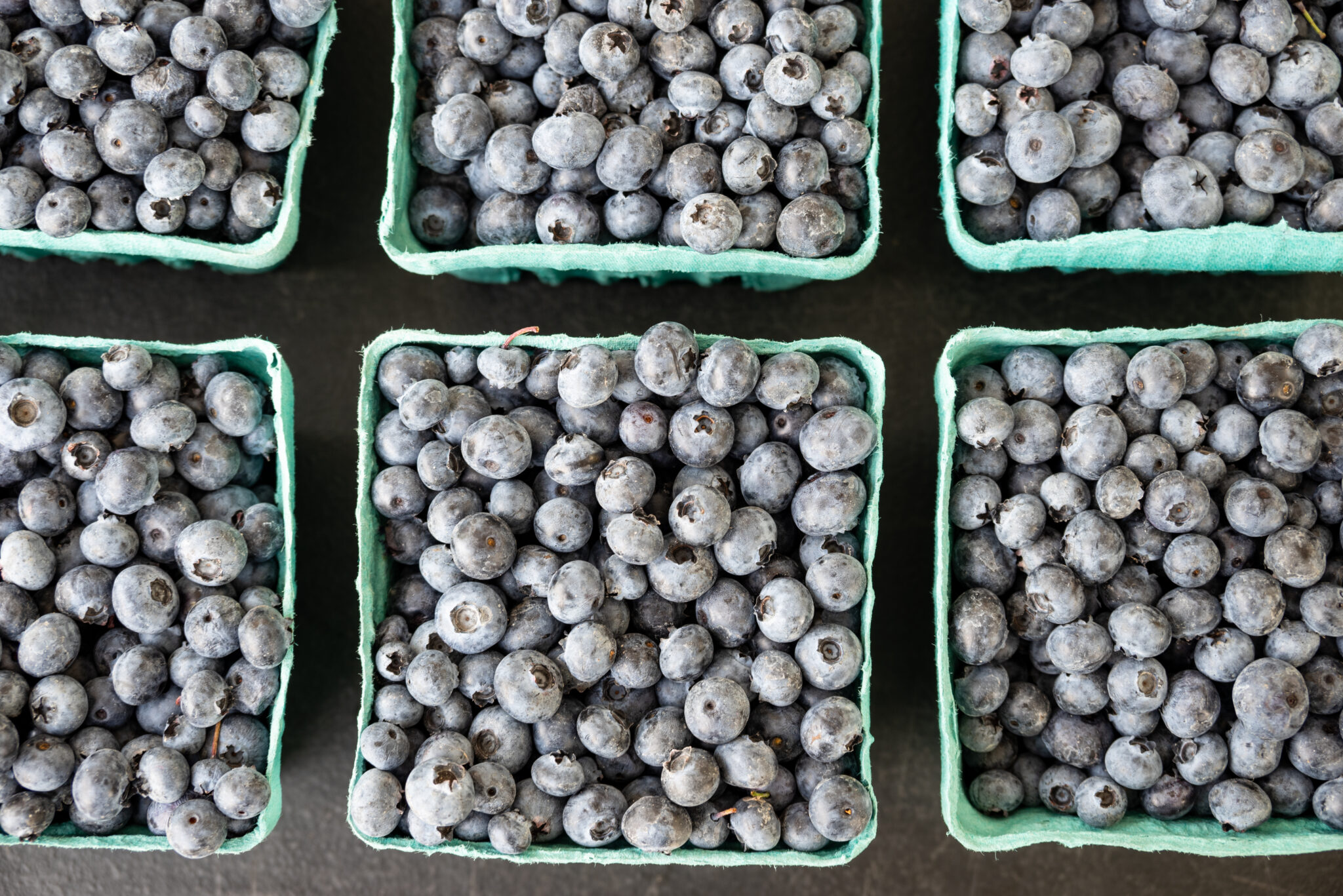 Home | Ever Fresh Fruit Company