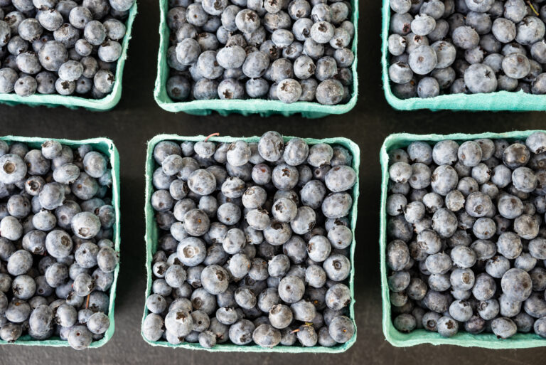 Home | Ever Fresh Fruit Company